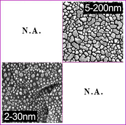 EM-Tec M1-2 with Au on C + hi-res Au on C, Ø15mm Hitachi M4 stub - Rave ...