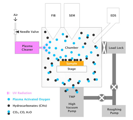 SEM Plasma Cleaners For Contamination Removal - Rave Scientific